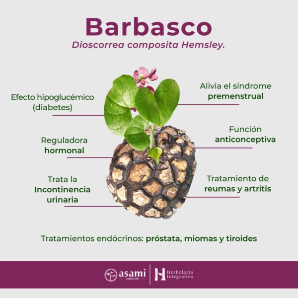 Barbasco (Dioscorrea composita Hemsley) - Asami :: Saber Ser