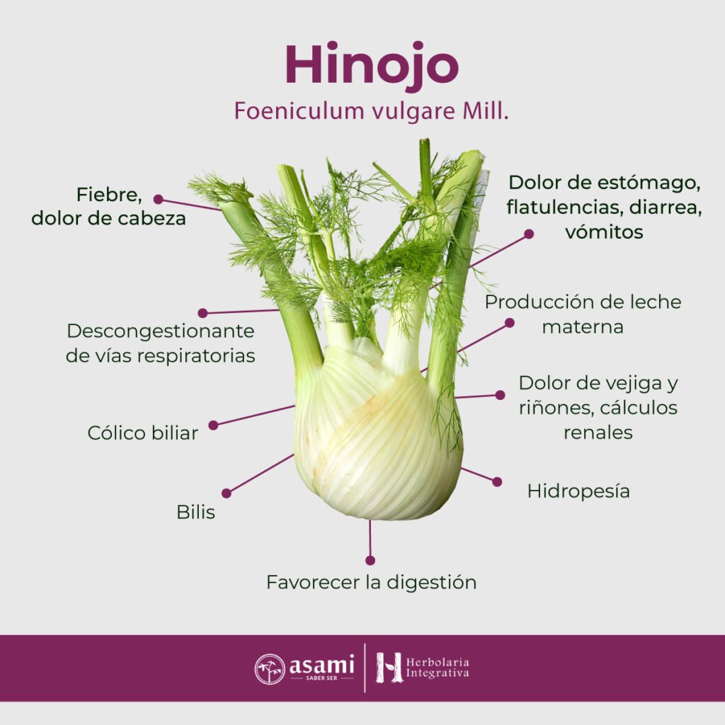 Hinojo – Foeniculum vulgare Mill. - Asami :: Saber Ser