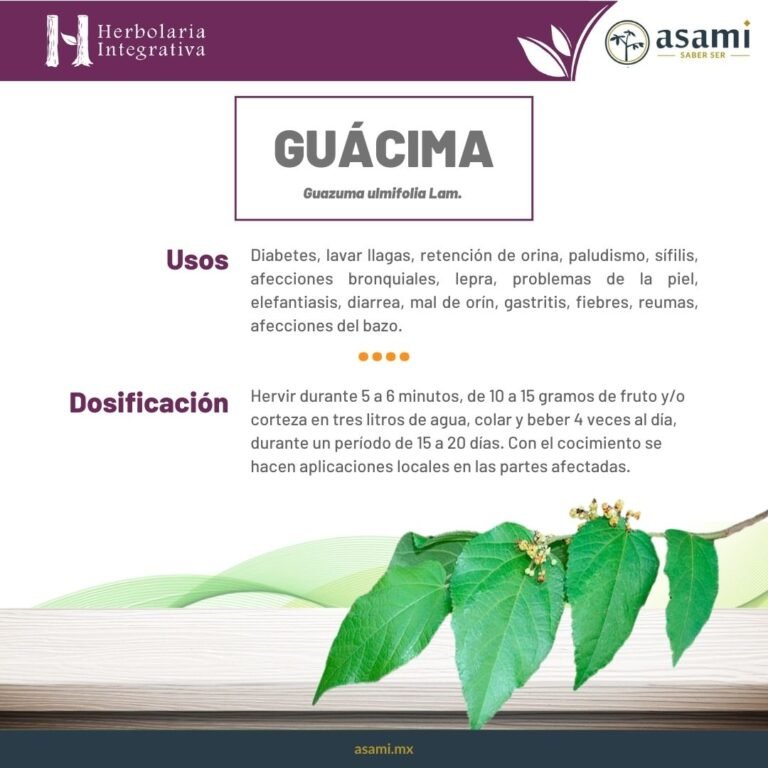 Guácima – Guazuma ulmifolia Lam. - Asami :: Saber Ser
